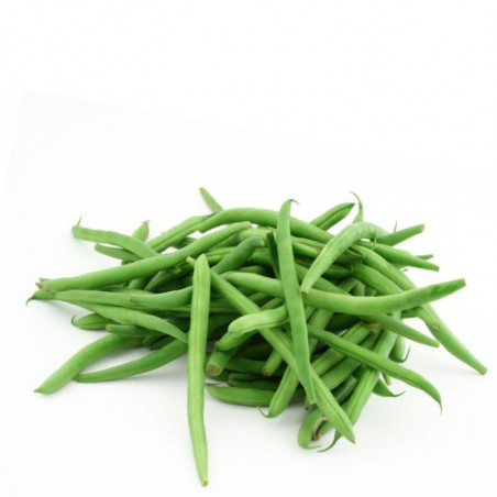 JUDIA REDONDA en tu Huerta de proximidad | deHigosaPeras