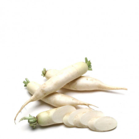 NABO HOLANDES DAIKON tu Huerta de proximidad | deHigosaPeras